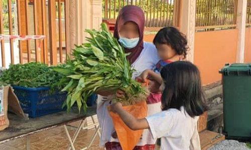 PROJECTS – Tara Foundation