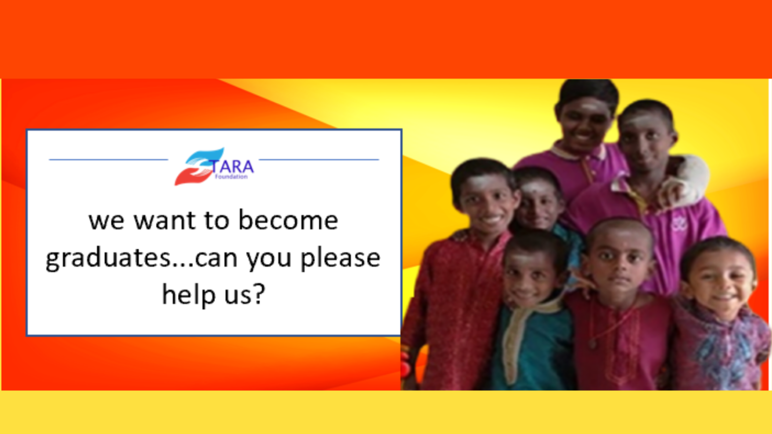 Gallery – Tara Foundation